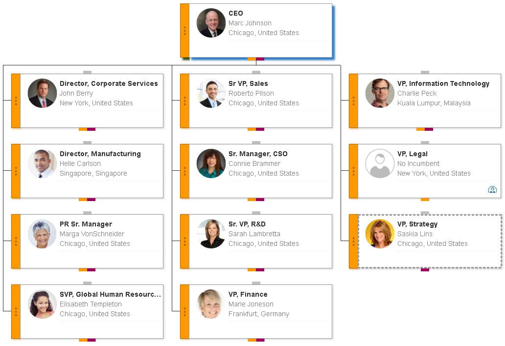 Understanding Nakisa Hanelly: important views and how to use them. - Nakisa