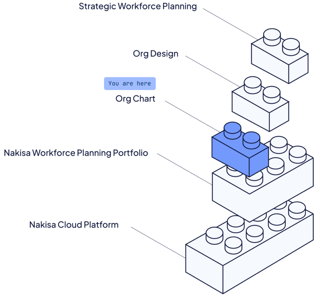 Best Org Chart Software for Large Enterprises by Nakisa - Nakisa